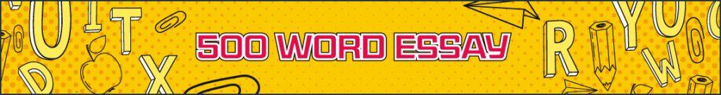 Great Tips on How to Write a 500 Word Essay | EssaysLeader